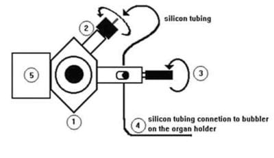 Isolated Heart | Heart Perfusion | Langendorff Examination
