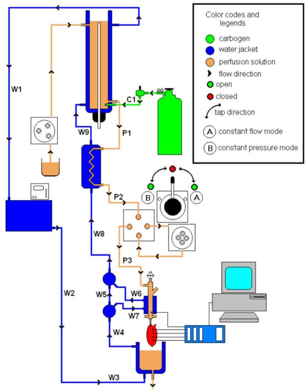 Pump Controlled Heart Perfusion System - Scintica