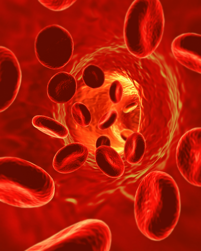 Tissue Oxygen | Dissolved Oxygen | Temperature | Monitors