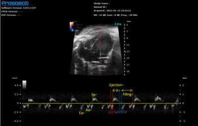 High Frequency Ultrasound | Animal Ultrasound | Preclinical