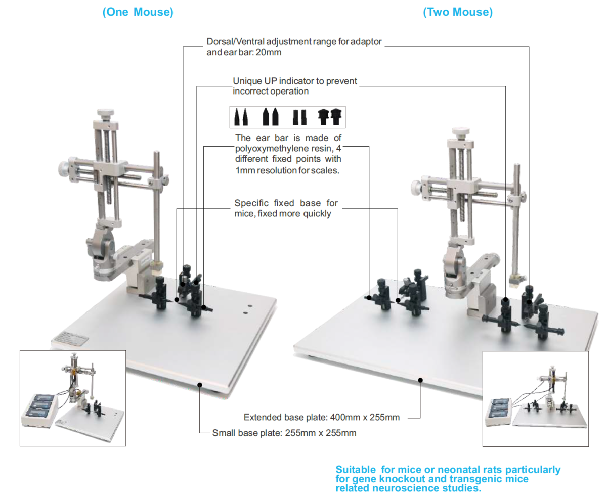 Stereotaxic Instruments | Experiment | Compact | Animal