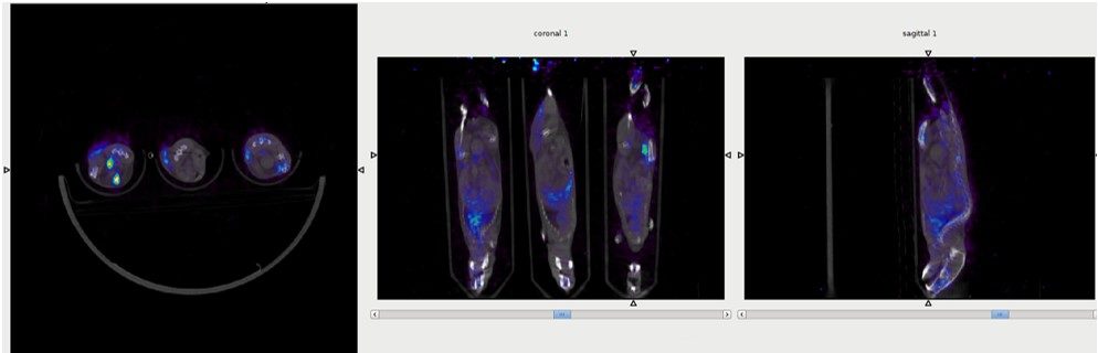 Fast Scanning - Scintica