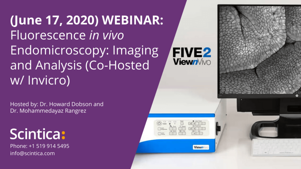 WEBINAR: Fluorescence 𝘪𝘯 𝘷𝘪𝘷𝘰 Endomicroscopy: Imaging and Analysis (Co-Hosted w/Invicro)