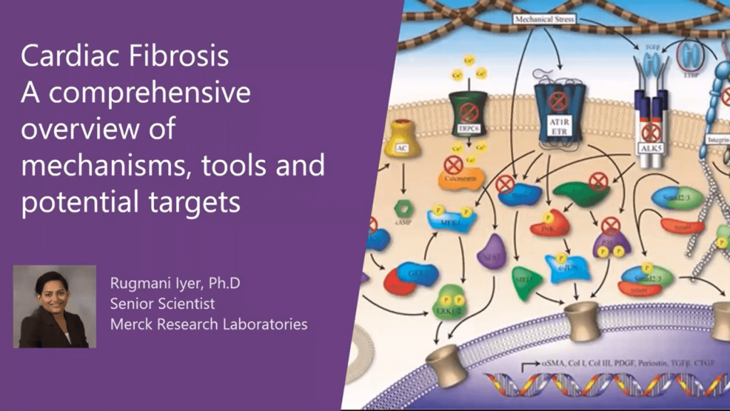 WEBINAR: Cardiac Fibrosis – A Comprehensive Overview of Mechanisms ...