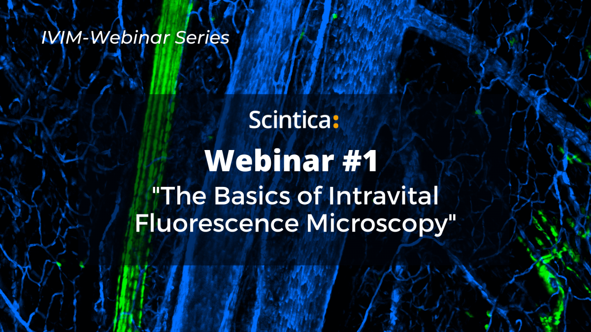Webinar Series IntraVital Microscopy (IVM)