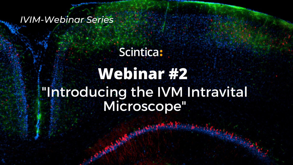 Webinar Series IntraVital Microscopy (IVM)