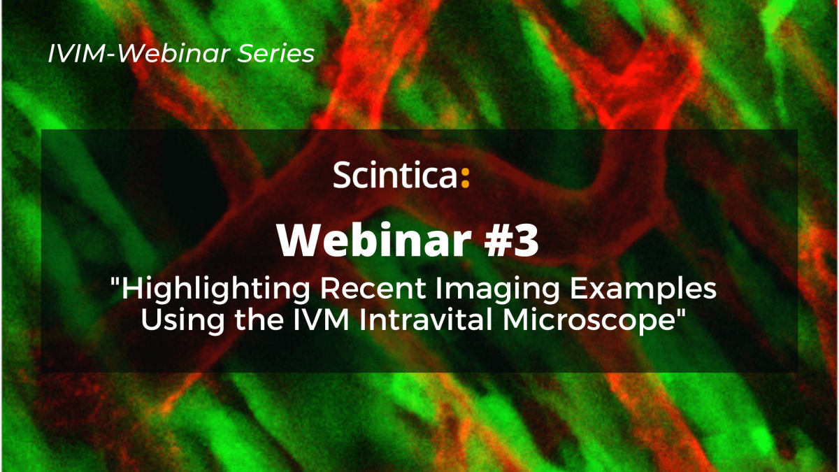 Webinar Series IntraVital Microscopy (IVM)