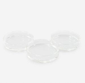 Dissection Dishes - Scintica
