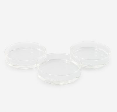 Dissection Dishes - Scintica
