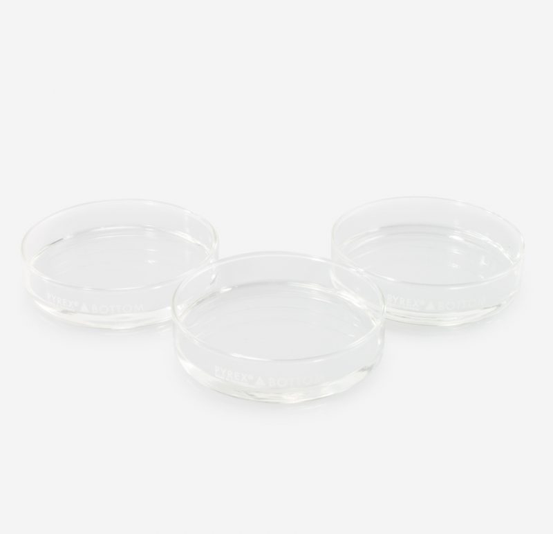 Dissection Dishes - Scintica