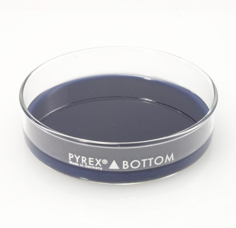 Dissection Dishes - Scintica