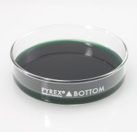 Dissection Dishes - Scintica