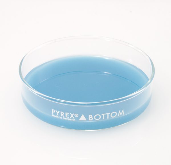 Dissection Dishes - Scintica