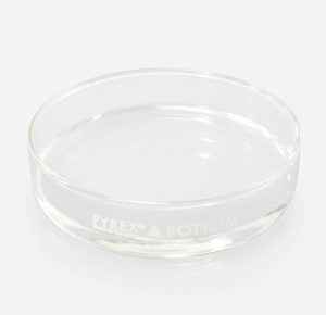 Dissection Dishes - Scintica