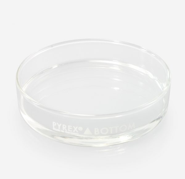 Dissection Dishes - Scintica