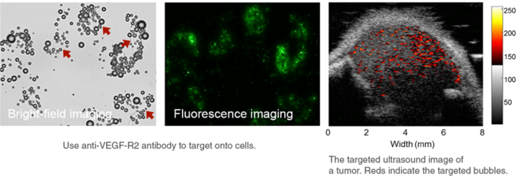 Bubbles_Fluorescence Imaging - Scintica