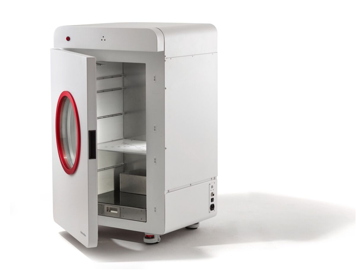 Modality: DEXA - Scintica