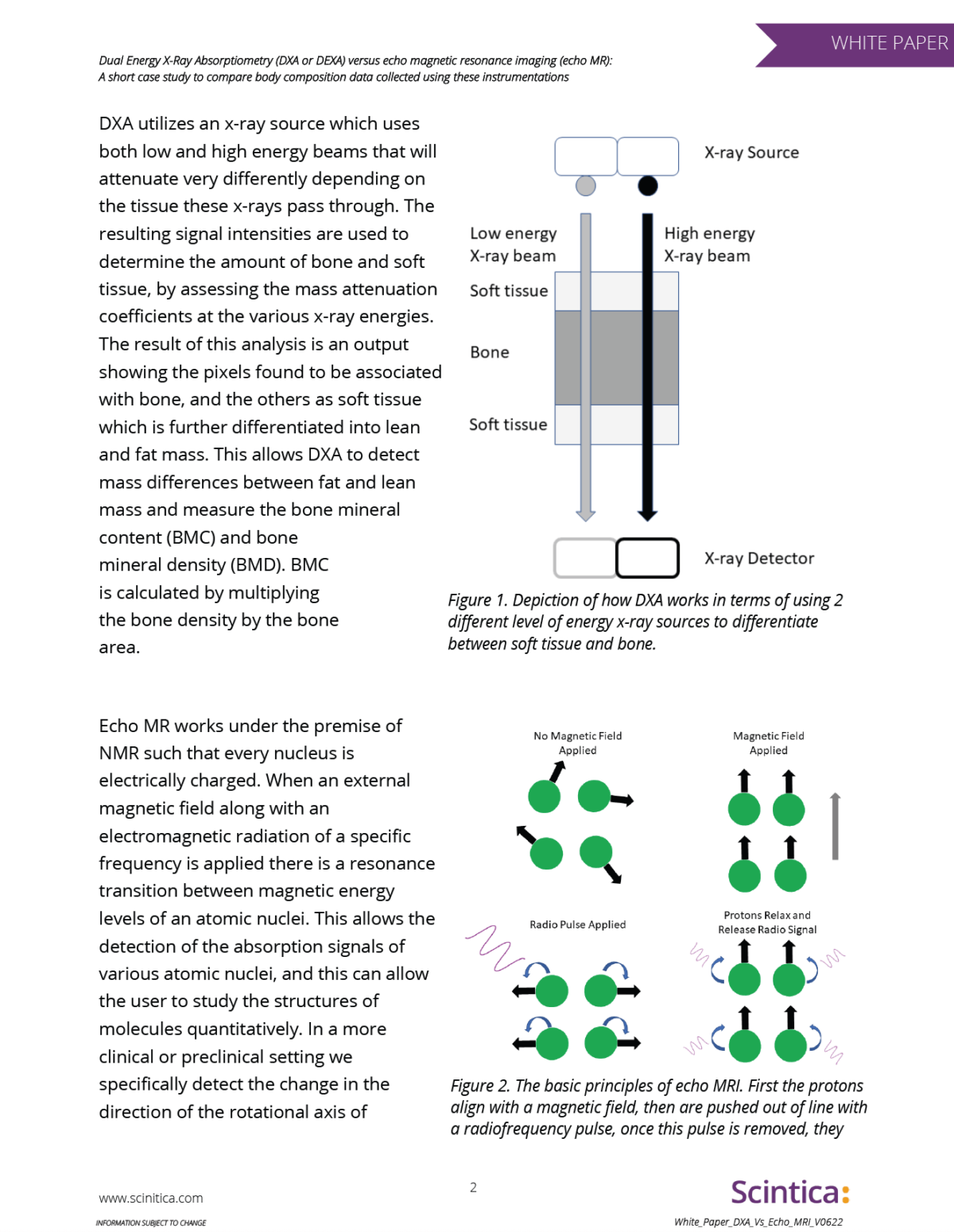 DXA iNSiGHT System Info - Scintica