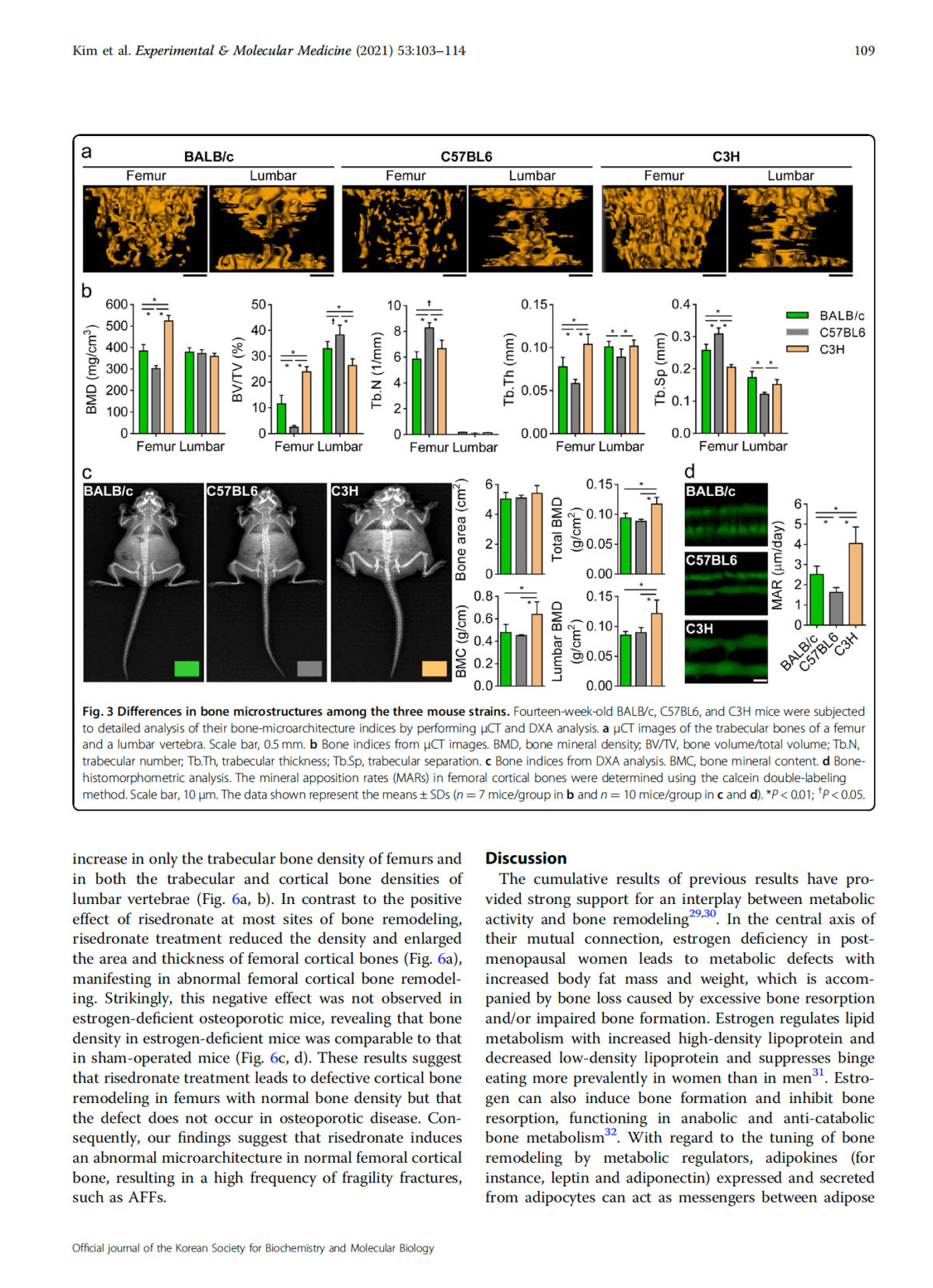 DXA iNSiGHT System Info - Scintica