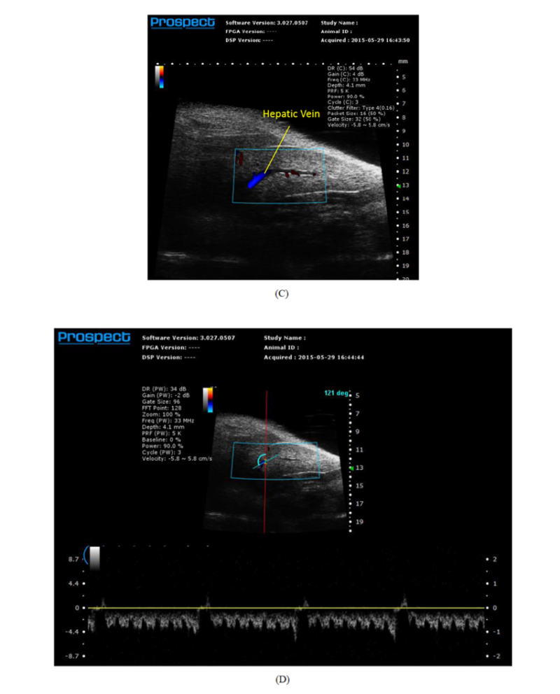 The Mouse Abdominal Imaging Guide