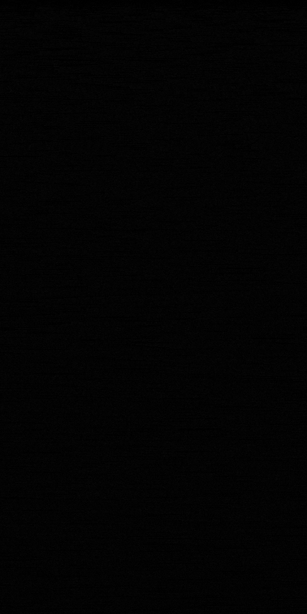 T1 Weighted Image of Normal Mouse Abdomen - Scintica