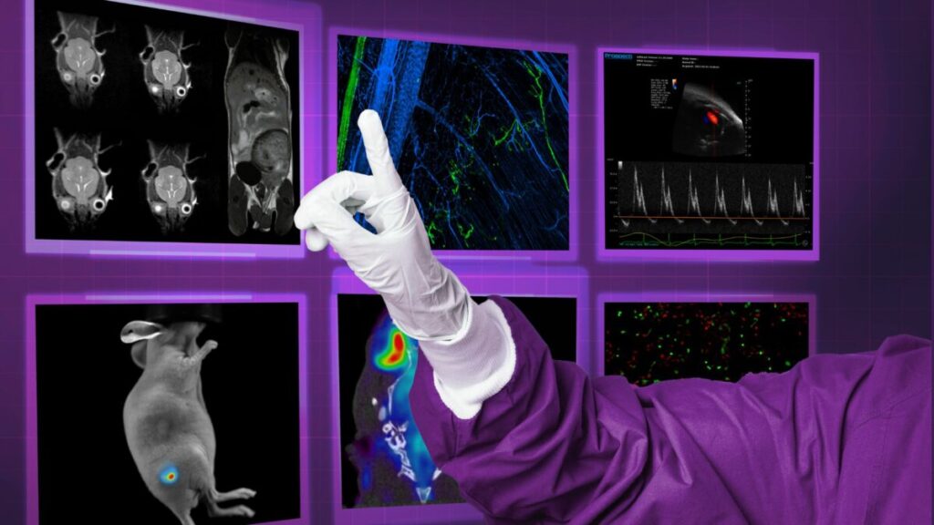 Preclinical Imaging Modalities - Scintica