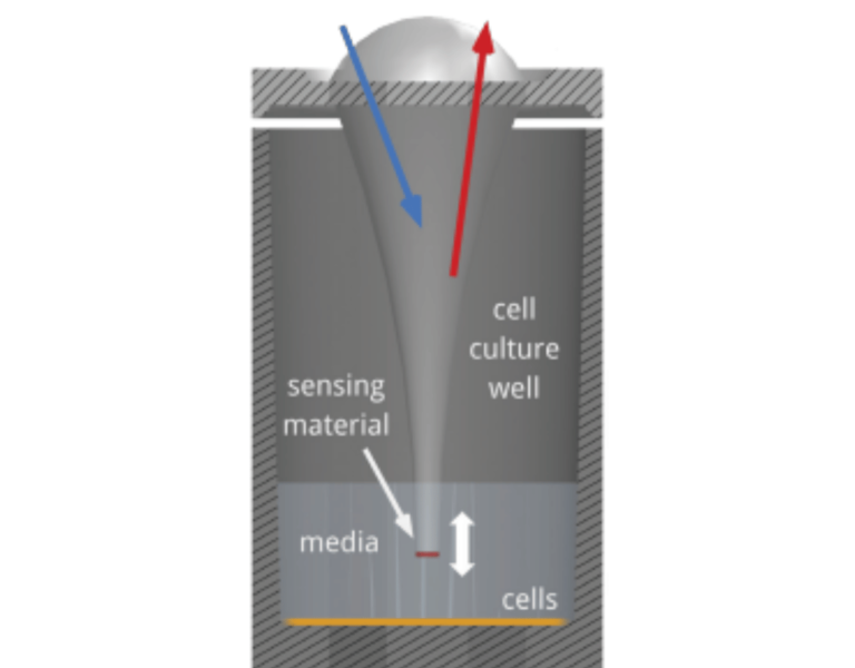 Dissolved Oxygen Monitor | Extra-Cellular | Oxygen Flux