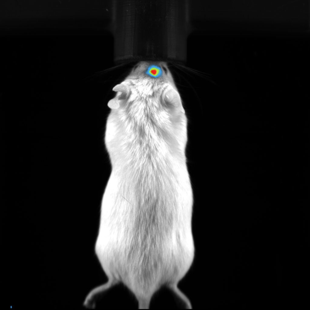 Modality: Optical - Scintica