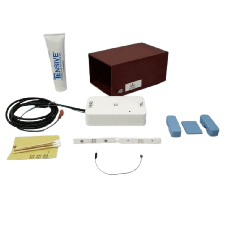 Neonatal Mouse ECG - Scintica
