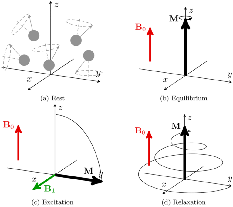 Basic NMR 2 - Scintica