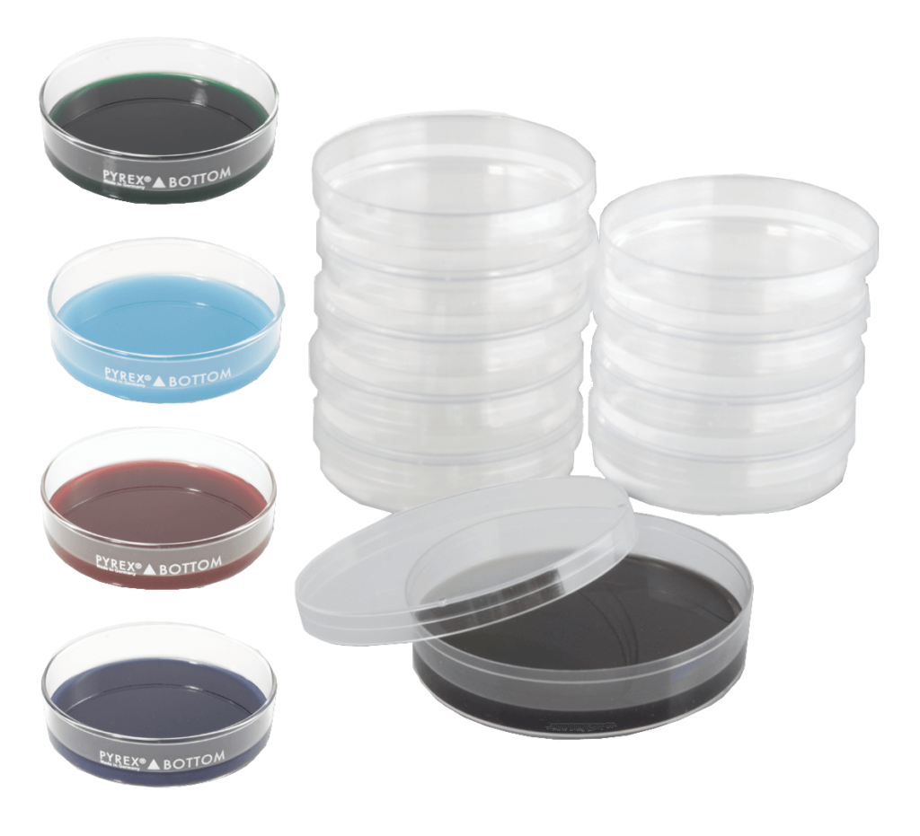 Dissection Dishes - Scintica