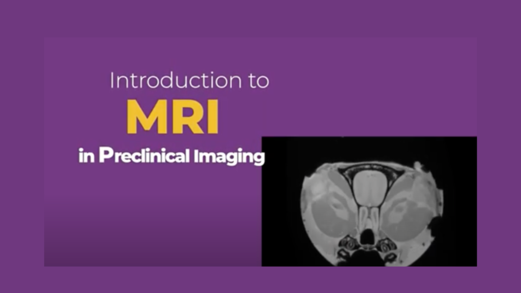 Modality: MRI - Scintica