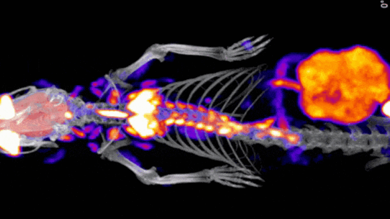 MultiModal Imaging CT - Scintica