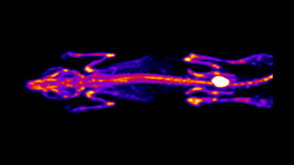 Preclinical Imaging Modalities - Scintica