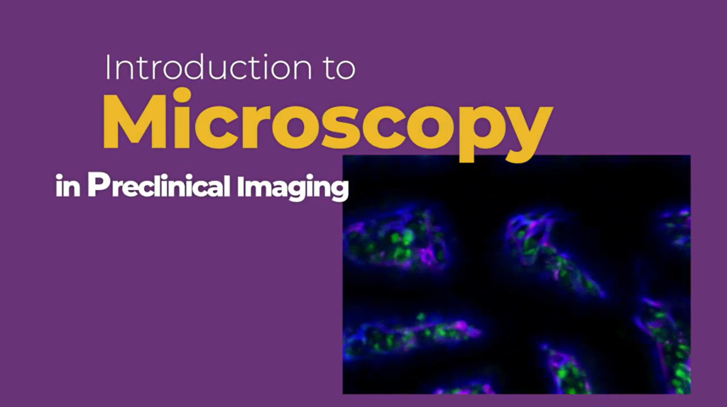 Introduction to microscopy - Scintica