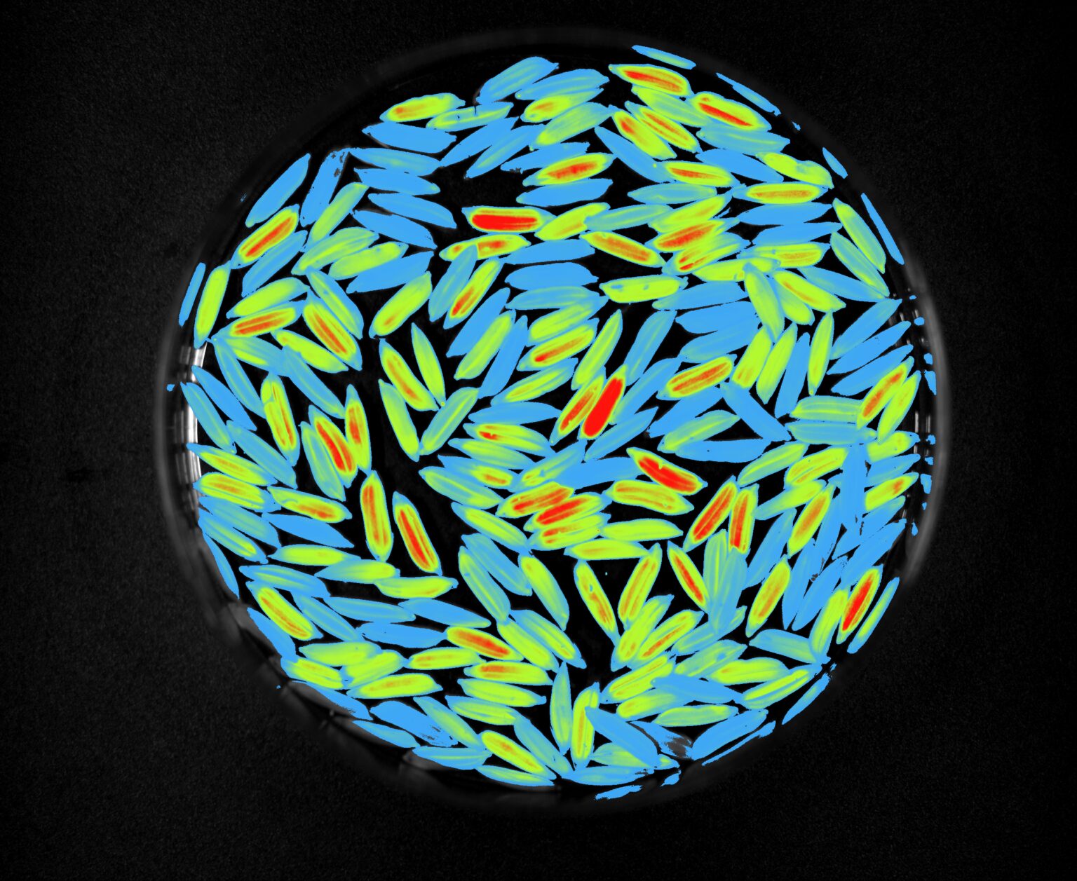 Glowing Everyday Objects: Exploring Fluorescence