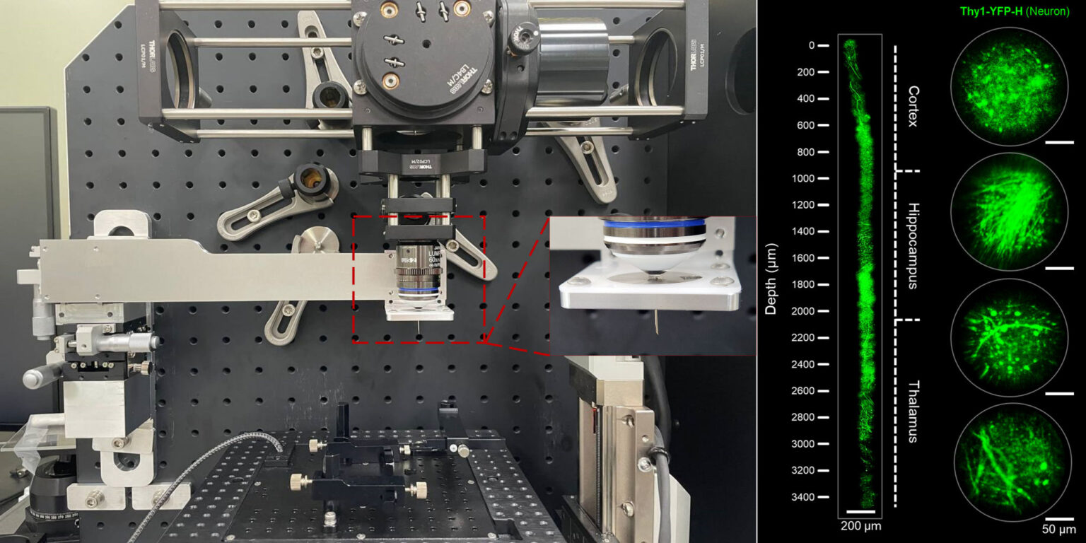 Leverage your research with IVIM Technology's advanced imaging ...
