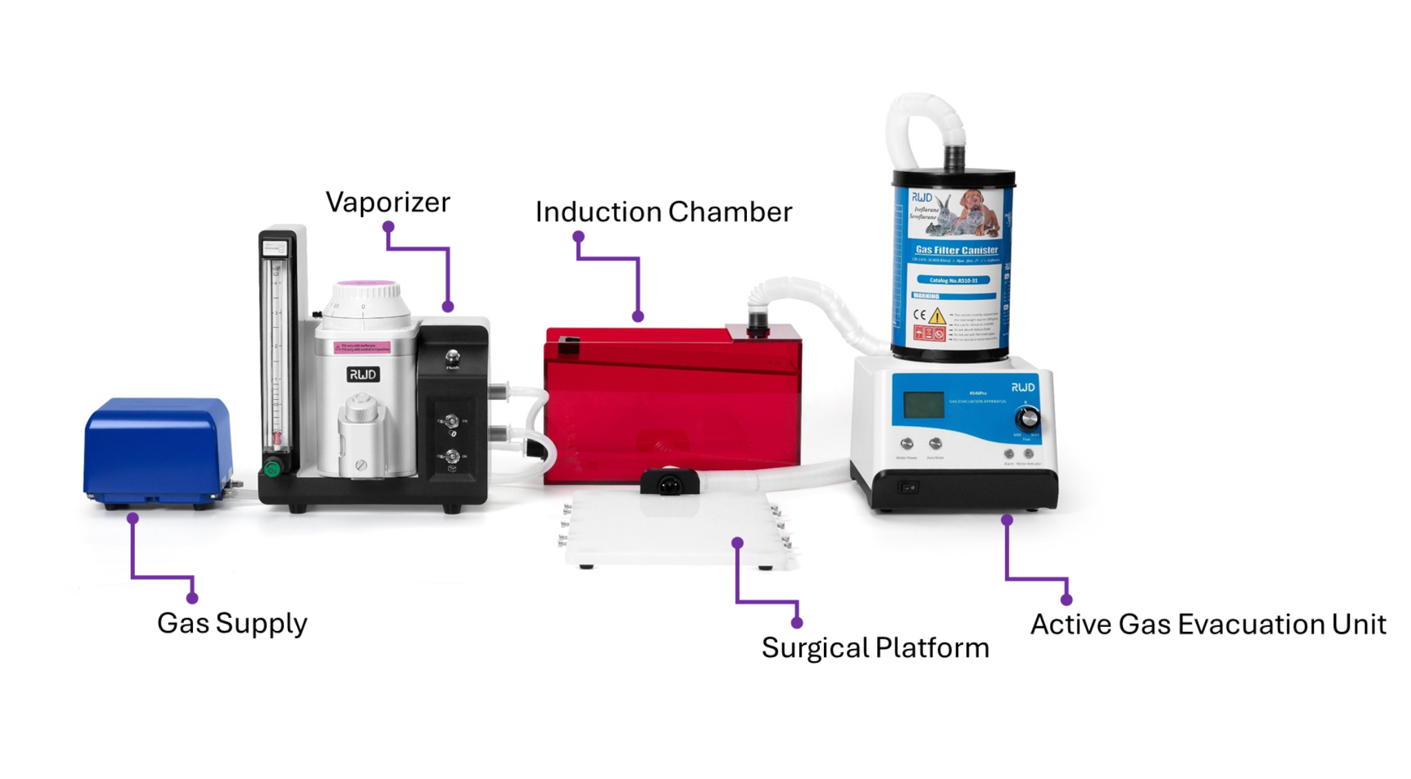 Anesthesia System - Scintica