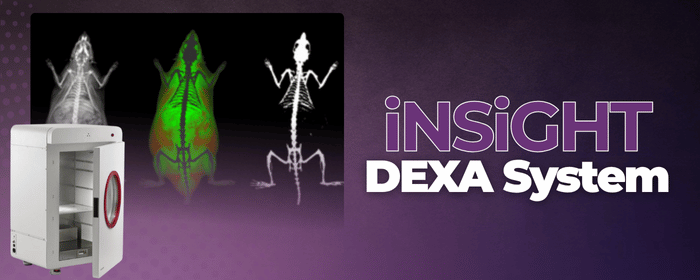 inSight Dexa System - Scintica