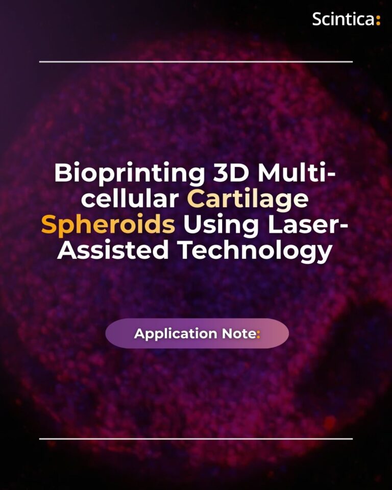 Bioprinting 3D Multi-cellular Cartilage Spheroids Using Laser-Assisted ...